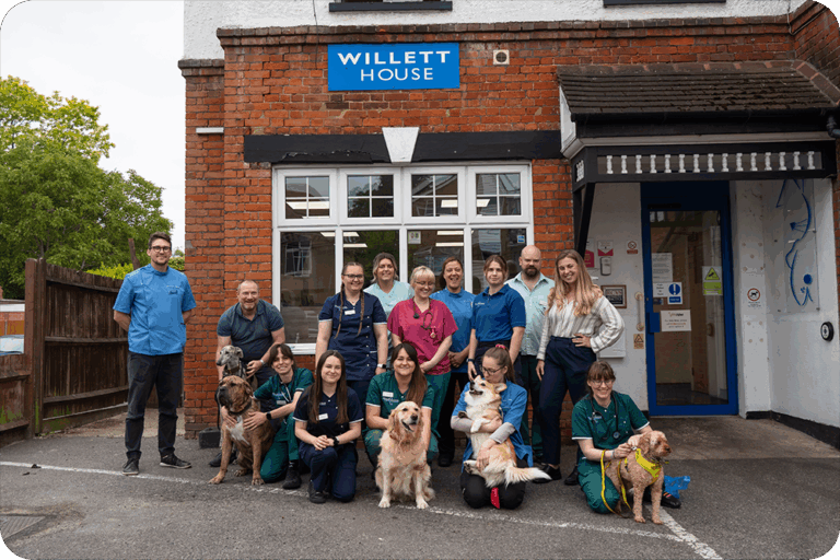 Willett House Veterinary Surgeons and Reed Veterinary Practice join the ...